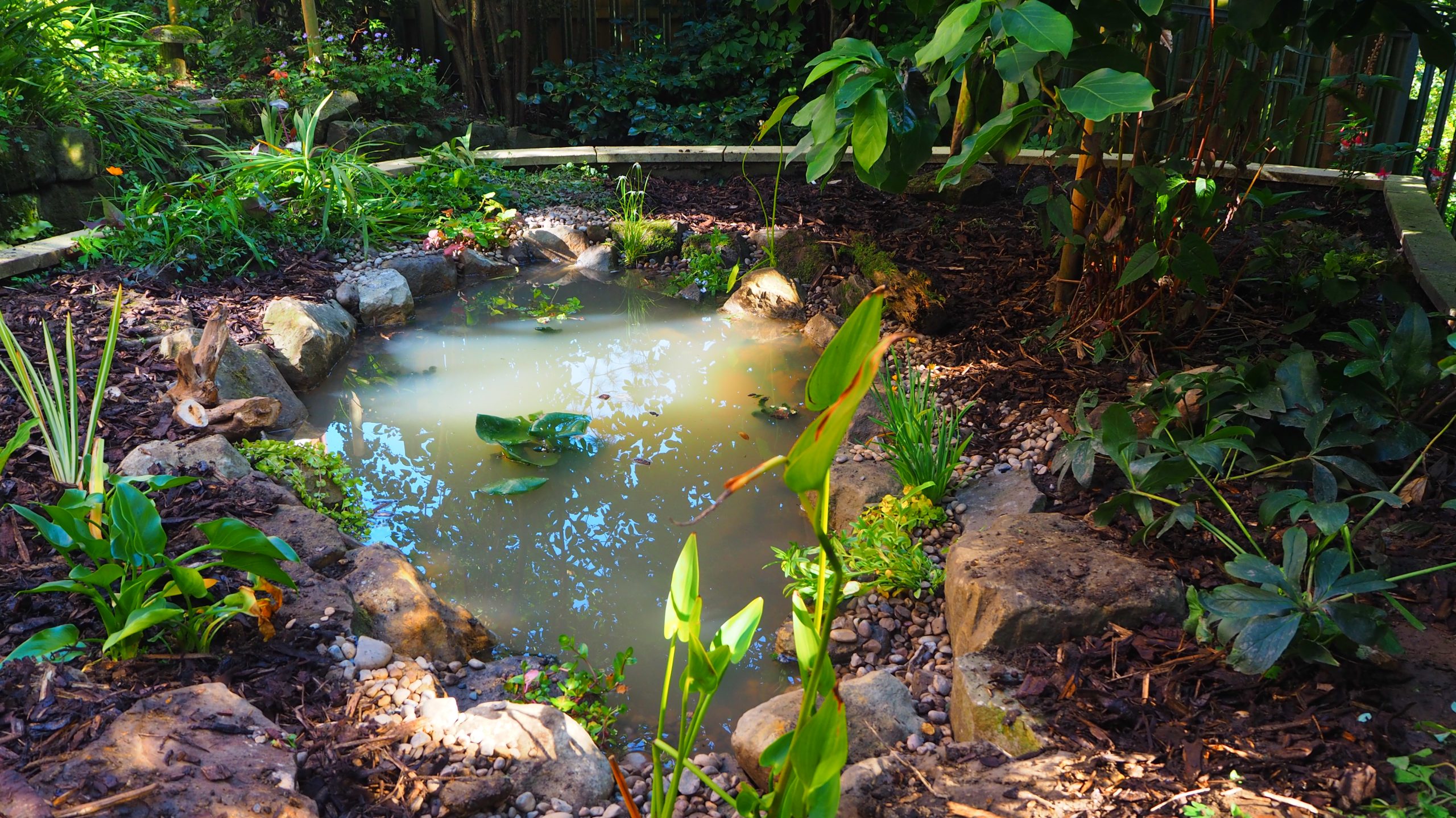 NicePonds – Pond Design & Installation, Refurbishment And Maintenance