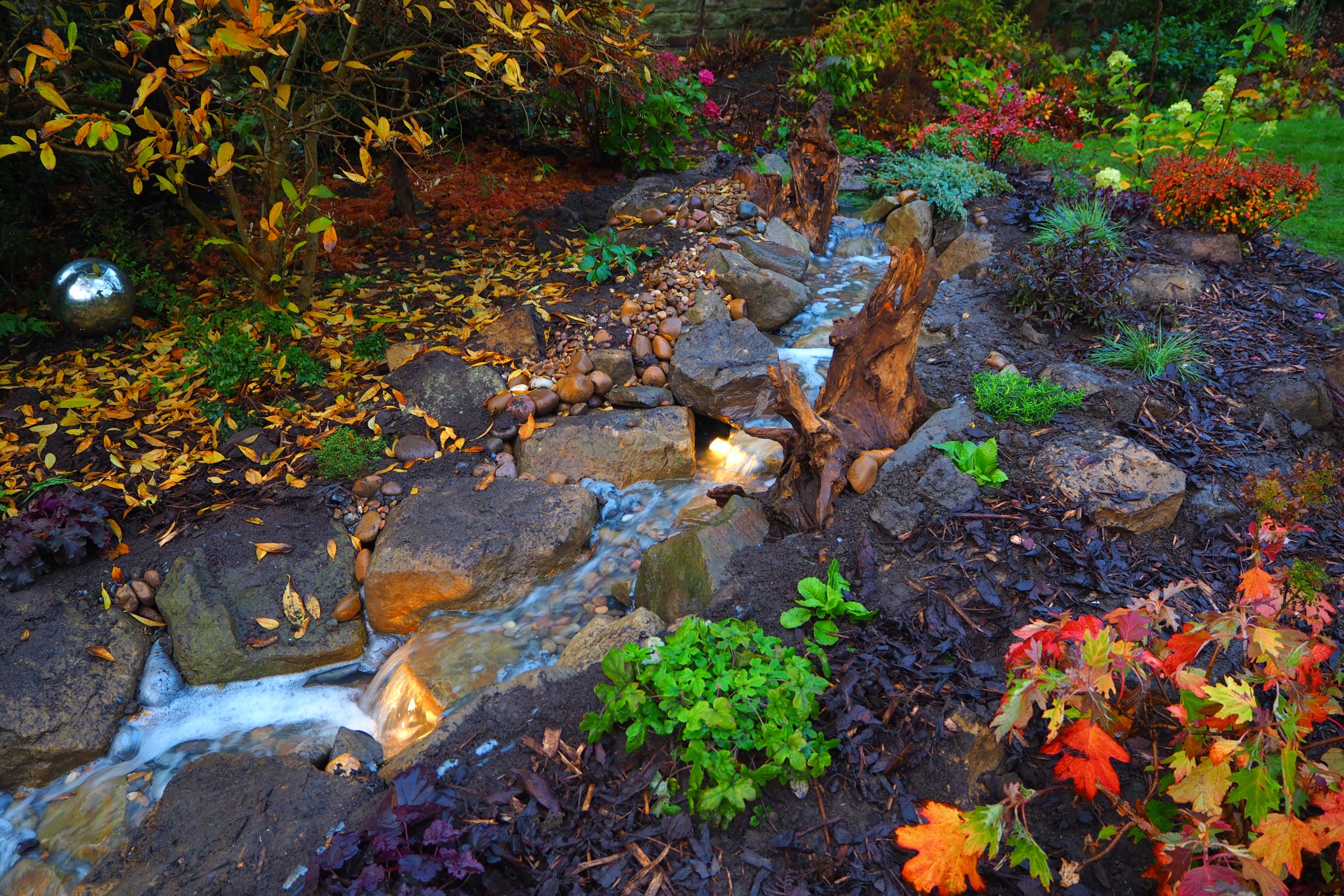 Gallery – NicePonds