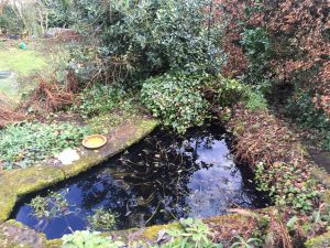 NicePonds – Pond Design & Installation, Refurbishment And Maintenance