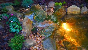NicePonds – Pond Design & Installation, Refurbishment And Maintenance