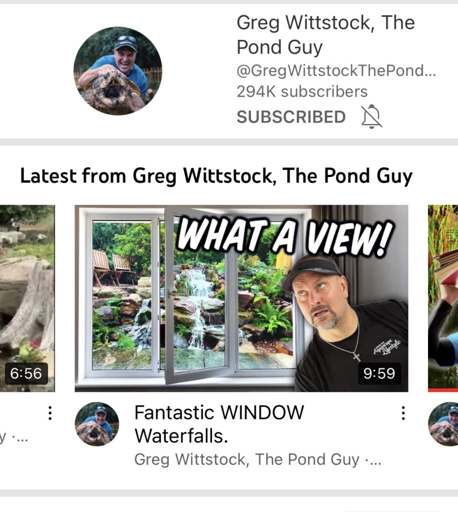 NicePonds – Pond Design & Installation, Refurbishment And Maintenance