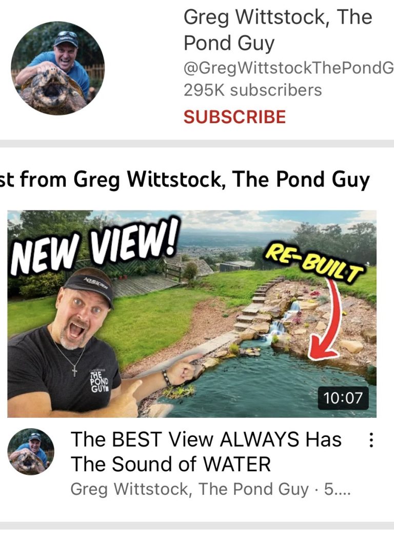 NicePonds – Pond Design & Installation, Refurbishment And Maintenance